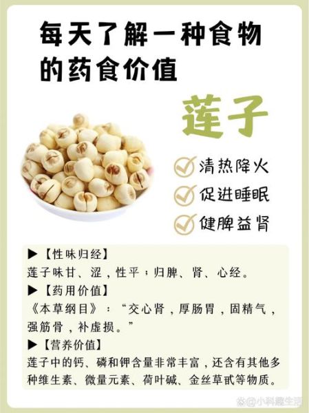 莲子汤的功效与作用_莲子汤适合什么人喝-第1张图片-山城妙识 莲子汤的功效与作用_莲子汤适合什么人喝-第1张图片-山城妙识