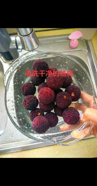 杨梅汁怎么熬制_杨梅汁熬制要不要去核-第3张图片-山城妙识 杨梅汁怎么熬制_杨梅汁熬制要不要去核-第3张图片-山城妙识