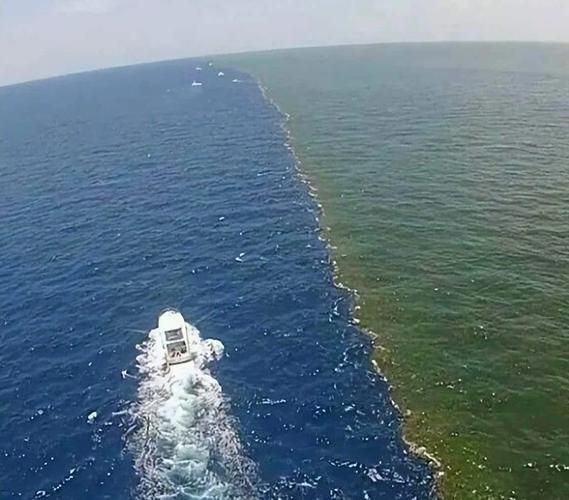 阿拉斯加海湾在哪里_阿拉斯加海湾形成原因-第1张图片-山城妙识 阿拉斯加海湾在哪里_阿拉斯加海湾形成原因-第1张图片-山城妙识