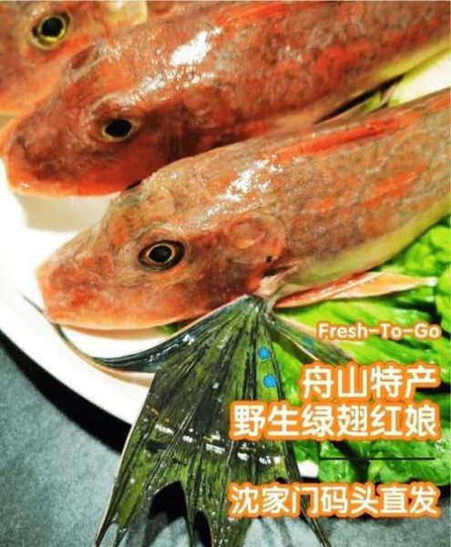 绿鳍鱼怎么做好吃_绿鳍鱼清蒸还是红烧-第1张图片-山城妙识 绿鳍鱼怎么做好吃_绿鳍鱼清蒸还是红烧-第1张图片-山城妙识