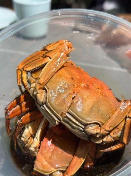 河蟹煮多久才熟_如何判断河蟹是否熟透-第1张图片-山城妙识 河蟹煮多久才熟_如何判断河蟹是否熟透-第1张图片-山城妙识