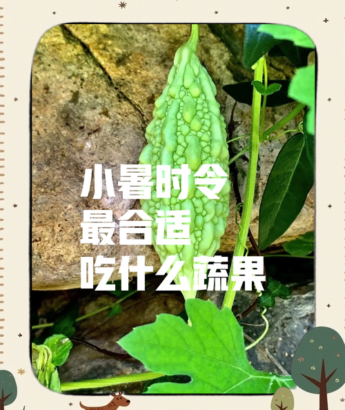 小暑吃什么菜好_小暑时节适合吃什么蔬菜-第3张图片-山城妙识