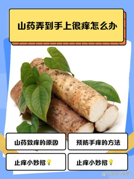 山药粘液过敏怎么办_山药削皮手痒怎么快速止痒-第1张图片-山城妙识 山药粘液过敏怎么办_山药削皮手痒怎么快速止痒-第1张图片-山城妙识