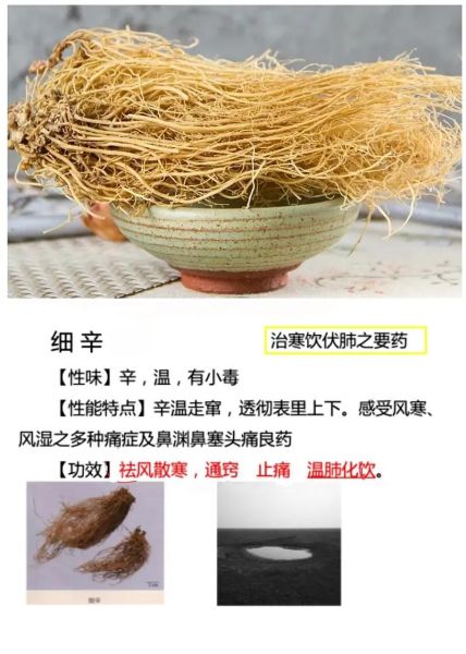 细辛的功效与作用及副作用_细辛用量多少克会中毒-第3张图片-山城妙识