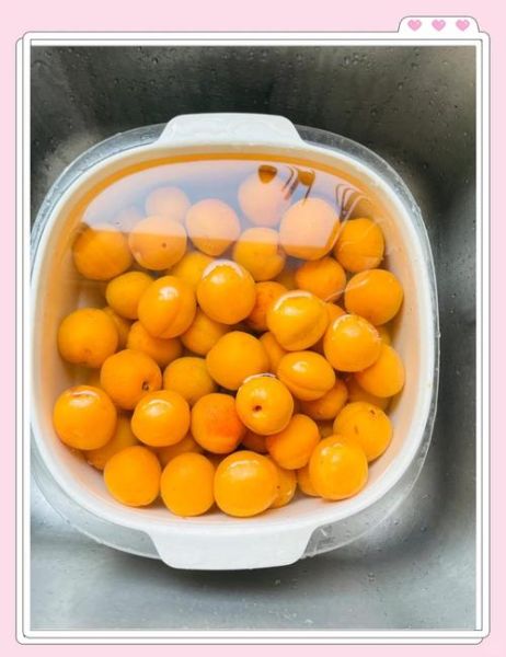 家庭自制杏干的做法_如何保存杏干不变色-第2张图片-山城妙识