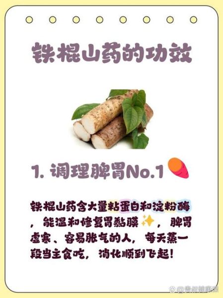 吃铁棍山药的副作用_哪些人不能吃铁棍山药-第2张图片-山城妙识