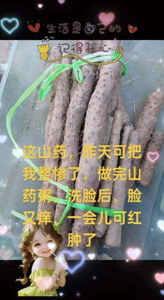 吃铁棍山药的副作用_哪些人不能吃铁棍山药-第3张图片-山城妙识