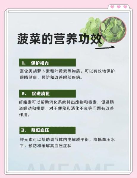 菠菜的功效与作用禁忌_哪些人不能吃菠菜-第1张图片-山城妙识 菠菜的功效与作用禁忌_哪些人不能吃菠菜-第1张图片-山城妙识