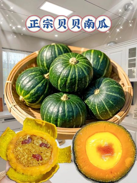 贝贝南瓜和板栗南瓜有什么区别_哪个更好吃-第2张图片-山城妙识