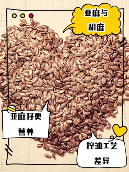 胡麻仁别名叫什么_胡麻仁与黑芝麻区别-第1张图片-山城妙识 胡麻仁别名叫什么_胡麻仁与黑芝麻区别-第1张图片-山城妙识