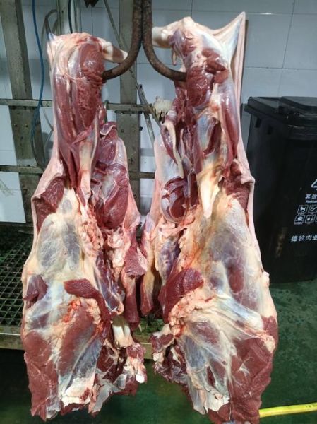 驴肉价格多少一斤2020_2020年驴肉多少钱一斤-第3张图片-山城妙识 驴肉价格多少一斤2020_2020年驴肉多少钱一斤-第3张图片-山城妙识
