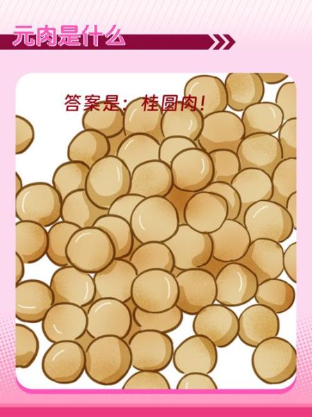 元肉是什么_元肉的功效与作用-第3张图片-山城妙识 元肉是什么_元肉的功效与作用-第3张图片-山城妙识