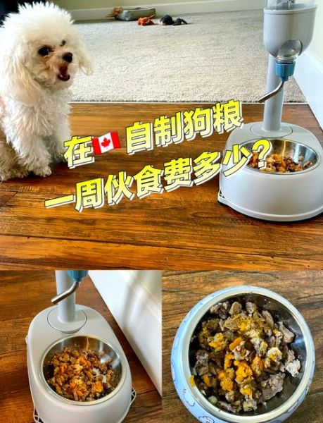 自制狗粮怎么做_狗狗吃什么最健康-第2张图片-山城妙识 自制狗粮怎么做_狗狗吃什么最健康-第2张图片-山城妙识