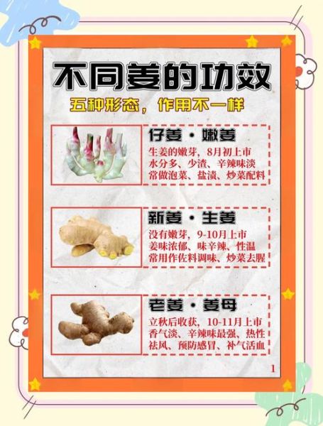 生姜的功效与作用_生姜的营养价值-第1张图片-山城妙识 生姜的功效与作用_生姜的营养价值-第1张图片-山城妙识