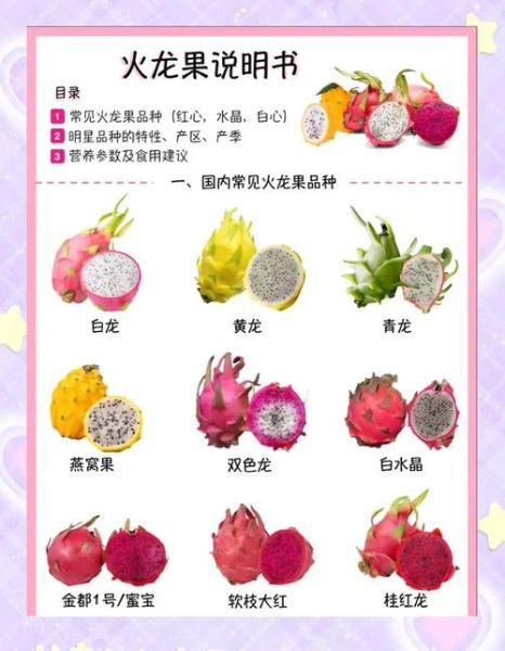 火龙果减肥法十多斤_多久见效-第1张图片-山城妙识 火龙果减肥法十多斤_多久见效-第1张图片-山城妙识