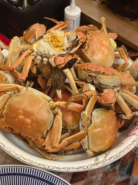 河蟹养殖技术_河蟹养殖视频教程-第1张图片-山城妙识