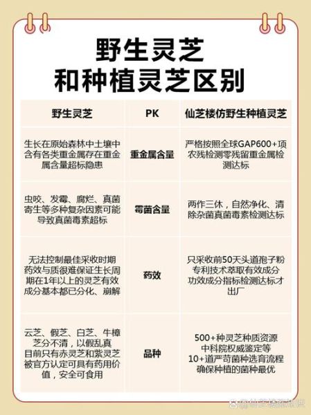 灵芝的种类有哪些_灵芝图片大全怎么辨认-第3张图片-山城妙识