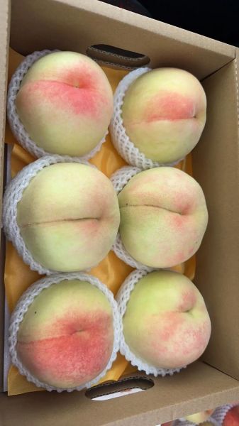 无锡水蜜桃哪里正宗_如何辨别真假阳山水蜜桃-第1张图片-山城妙识 无锡水蜜桃哪里正宗_如何辨别真假阳山水蜜桃-第1张图片-山城妙识