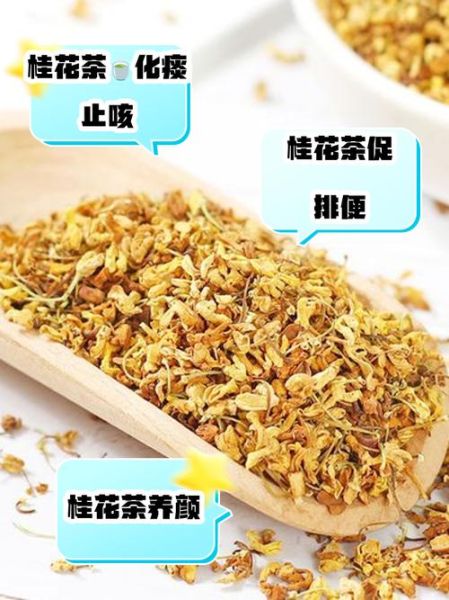 桂花茶的功效与作用_桂花茶的坏处有哪些-第1张图片-山城妙识