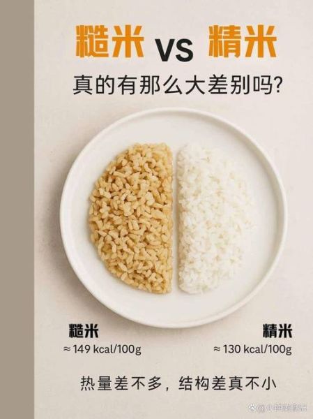 糙米有哪几种_糙米的种类区别-第2张图片-山城妙识 糙米有哪几种_糙米的种类区别-第2张图片-山城妙识