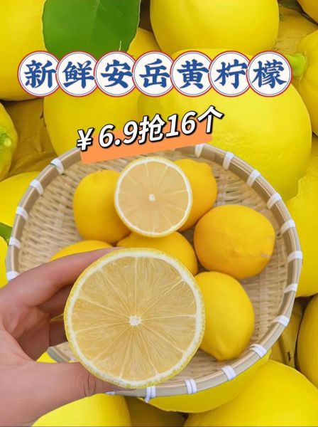 新鲜柠檬怎么吃_柠檬的正确吃法-第3张图片-山城妙识