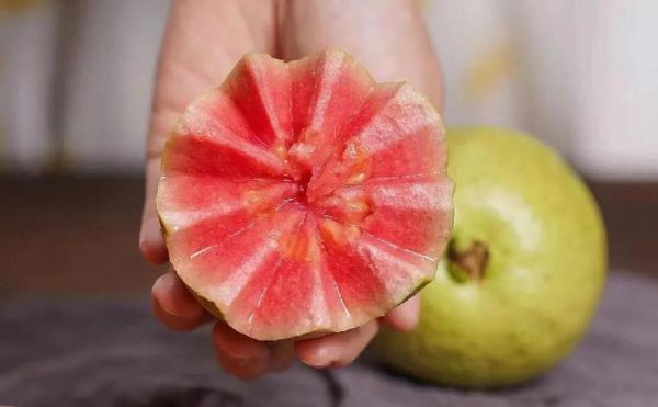 番石榴图片_番石榴怎么挑选-第3张图片-山城妙识