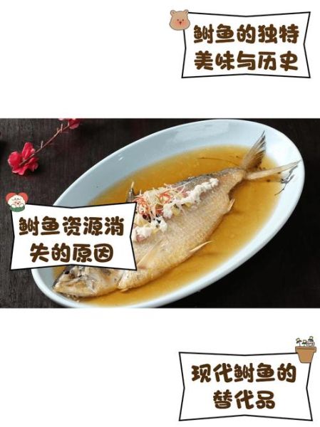 天刀清蒸鲥鱼怎么做_清蒸鲥鱼去腥技巧-第3张图片-山城妙识