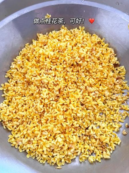 怎么做桂花茶_桂花茶制作步骤-第3张图片-山城妙识 怎么做桂花茶_桂花茶制作步骤-第3张图片-山城妙识