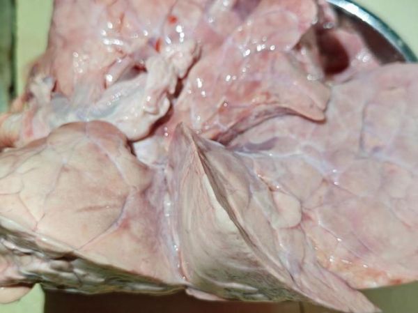 猪肺怎么炒才不腥_爆炒猪肺的家常做法-第2张图片-山城妙识 猪肺怎么炒才不腥_爆炒猪肺的家常做法-第2张图片-山城妙识