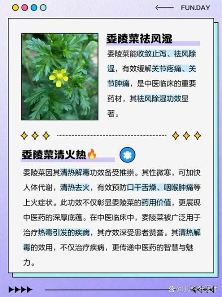 委陵菜的功效与作用_委陵菜怎么吃-第1张图片-山城妙识