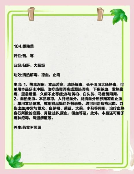 委陵菜的功效与作用_委陵菜怎么吃-第2张图片-山城妙识