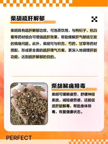 柴胡的功效与作用是什么_柴胡能退烧吗-第1张图片-山城妙识 柴胡的功效与作用是什么_柴胡能退烧吗-第1张图片-山城妙识