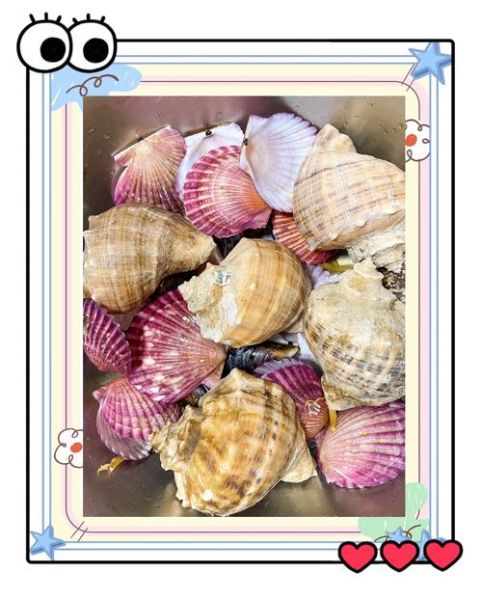 水煮海螺怎么做_水煮海螺要煮多久-第3张图片-山城妙识