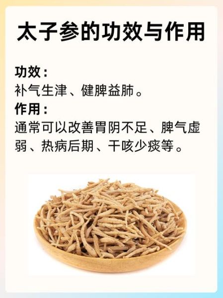 太子参的功效与作用及禁忌_哪些人不能吃太子参-第2张图片-山城妙识