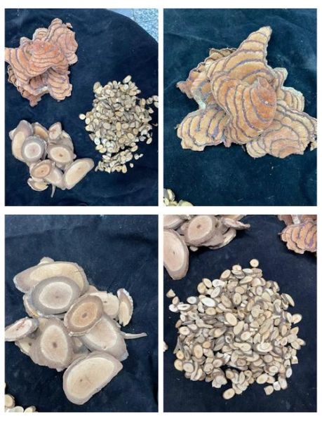 最止痛的三味中草药是什么_怎么煎服效果最好-第1张图片-山城妙识 最止痛的三味中草药是什么_怎么煎服效果最好-第1张图片-山城妙识