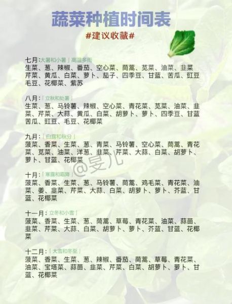 11月12月适合种什么菜_冬季蔬菜种植指南-第2张图片-山城妙识 11月12月适合种什么菜_冬季蔬菜种植指南-第2张图片-山城妙识