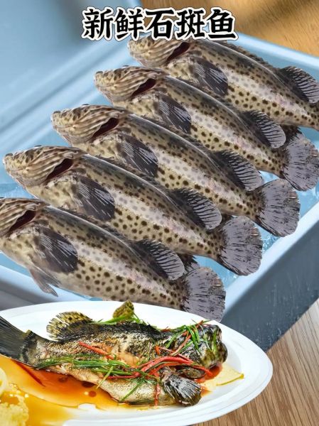 清蒸石斑鱼是哪个地方的菜_石斑鱼清蒸做法起源地-第1张图片-山城妙识