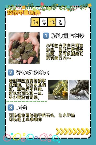 小甲鱼苗怎么养_小甲鱼苗喂什么-第2张图片-山城妙识