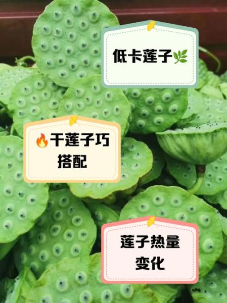 莲子粥热量高吗_莲子粥减肥能吃吗-第2张图片-山城妙识