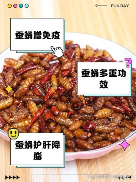 蝉蛹怎么做好吃_蝉蛹的家常做法大全-第3张图片-山城妙识