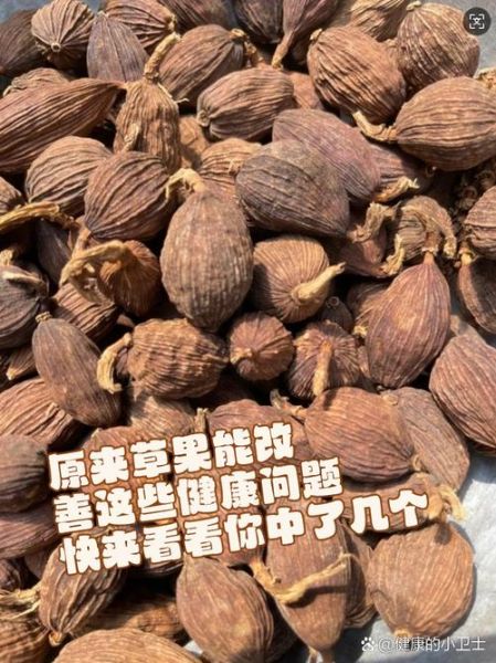 草果图片功效与作用_草果怎么吃效果最好-第3张图片-山城妙识 草果图片功效与作用_草果怎么吃效果最好-第3张图片-山城妙识