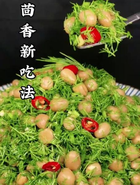 茴香最简单的吃法_怎么做才香-第3张图片-山城妙识 茴香最简单的吃法_怎么做才香-第3张图片-山城妙识