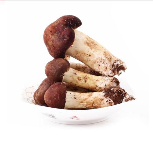 姬松茸多少钱一斤_姬松茸价格影响因素-第3张图片-山城妙识 姬松茸多少钱一斤_姬松茸价格影响因素-第3张图片-山城妙识