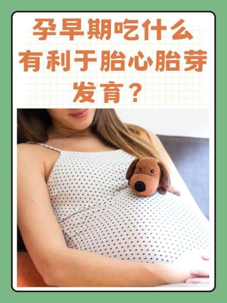 孕早期吃什么有利于胎心胎芽发育_吃什么食物长胎心胎芽快-第2张图片-山城妙识