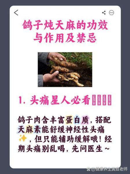 天麻炖鸽子禁忌_什么人不能吃-第1张图片-山城妙识 天麻炖鸽子禁忌_什么人不能吃-第1张图片-山城妙识