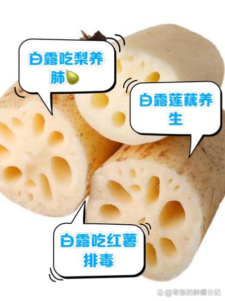 白露吃什么水果好_白露节气水果推荐-第3张图片-山城妙识 白露吃什么水果好_白露节气水果推荐-第3张图片-山城妙识