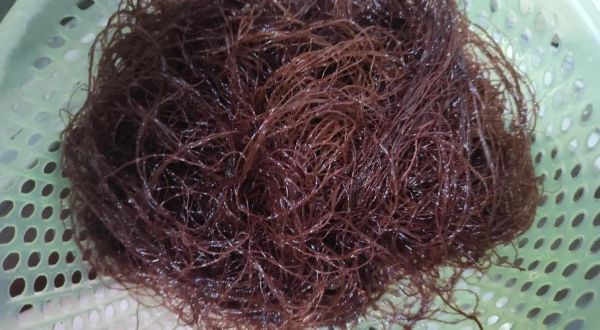 绿蚕蛹怎么做好吃_绿蚕蛹的做法大全-第1张图片-山城妙识