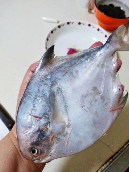 平鱼的营养价值及功效与作用_平鱼怎么吃最营养-第1张图片-山城妙识