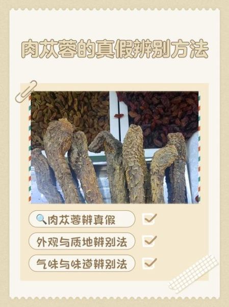 肉苁蓉长什么样_肉苁蓉真假辨别方法-第1张图片-山城妙识 肉苁蓉长什么样_肉苁蓉真假辨别方法-第1张图片-山城妙识
