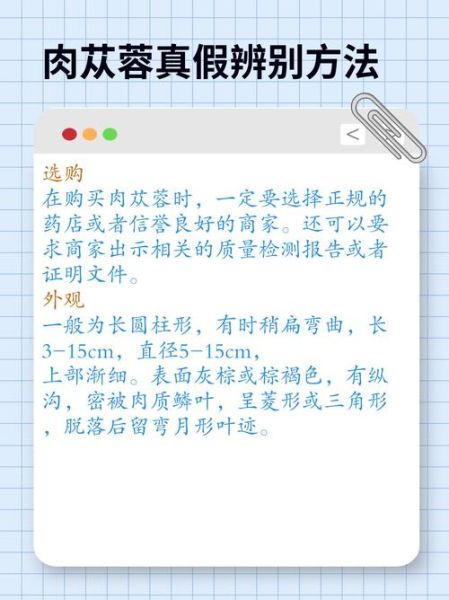 肉苁蓉长什么样_肉苁蓉真假辨别方法-第3张图片-山城妙识 肉苁蓉长什么样_肉苁蓉真假辨别方法-第3张图片-山城妙识